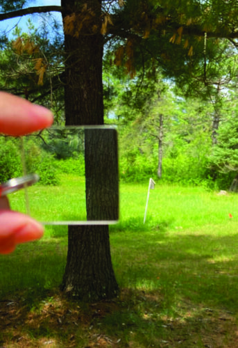 Forest Inventory Sampling Methods for the Woodlot - Grit